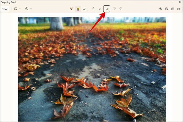 7 วิธีในการครอบตัดภาพหน้าจอหรือรูปภาพใน Windows 11 และ 10 - Mekano Tech