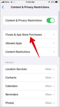 修复 iPhone 或 iPad 上丢失的 App Store 的 9 种方法 - Mekano Tech